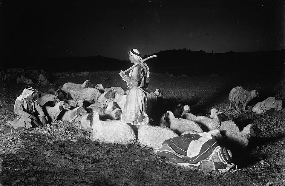 Why was Jesus’ birth announced to shepherds? – Creation to New Creation ...